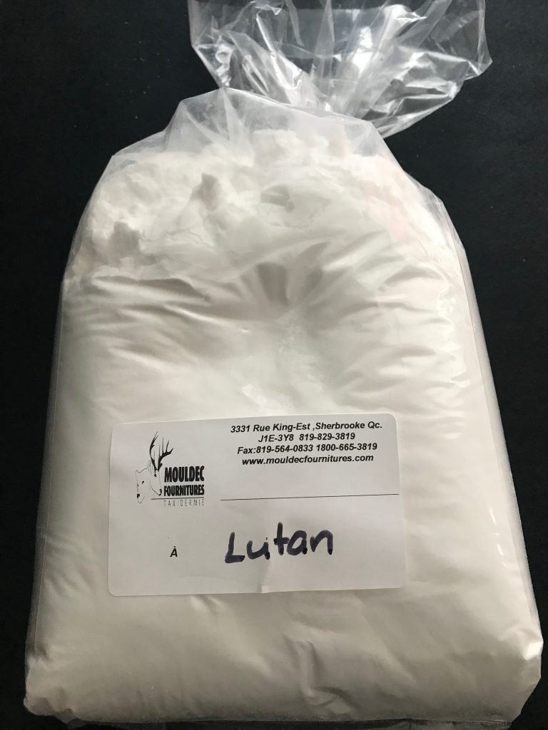 Lutan FN - Taxidermie de l'estrie